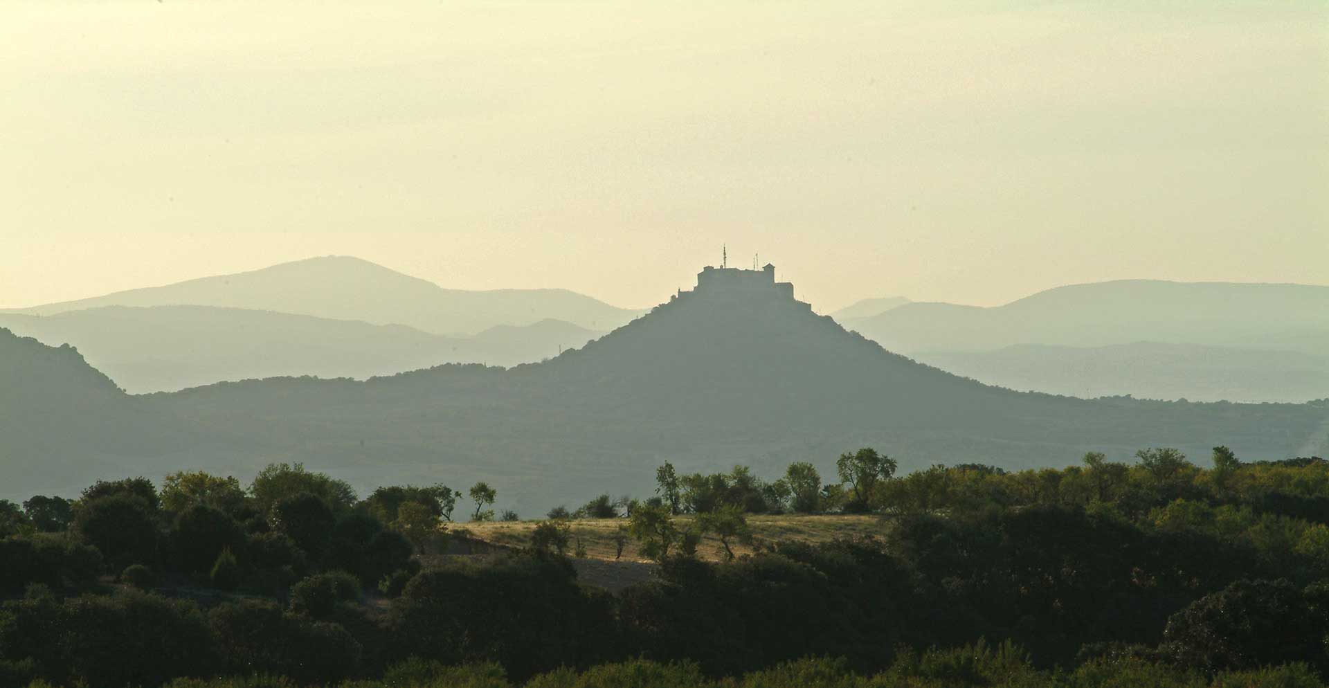 5 Razones para Hacer Enoturismo en Ponzano: Descubre el Somontano de la ...